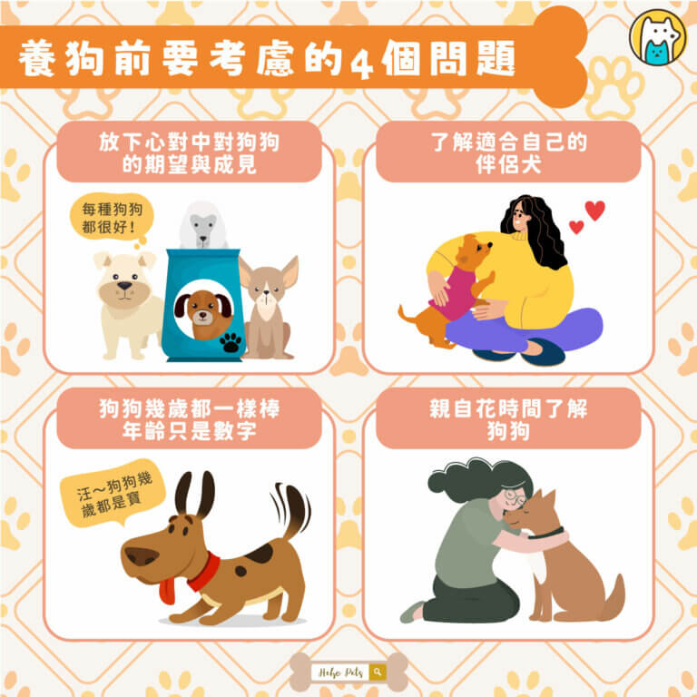 第一次養狗要準備哪些東西？ 帶狗回家前要準備的 5種用品 - Heho Pets