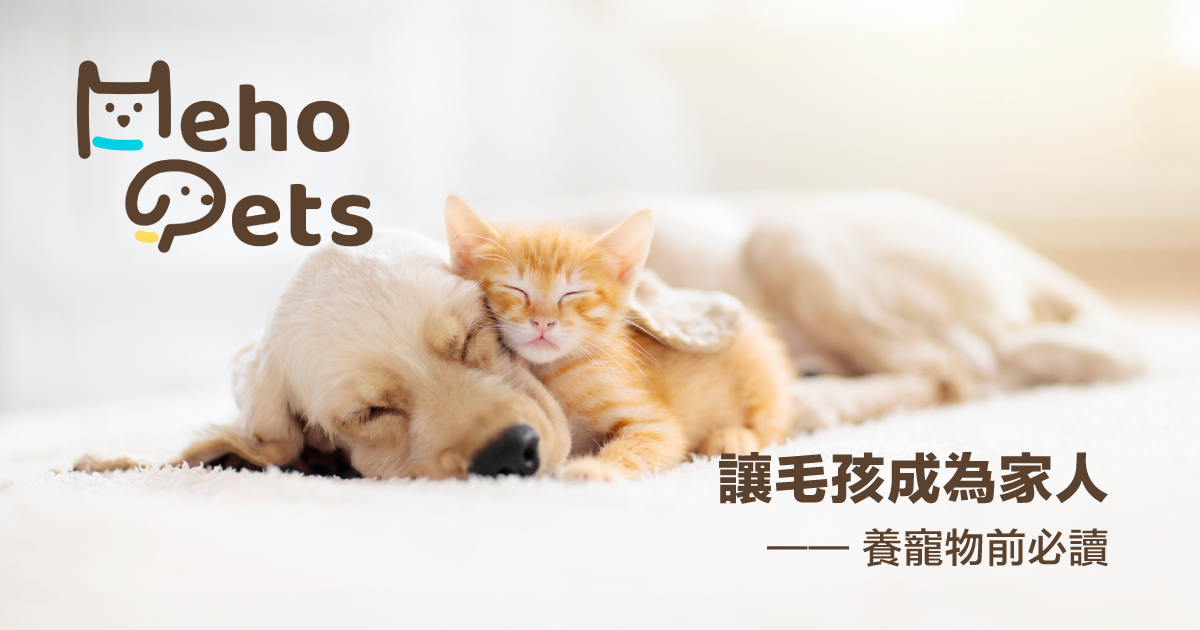 新手飼主必看：自我評估、新手知識、飲食須知、常見問題 - Heho Pets