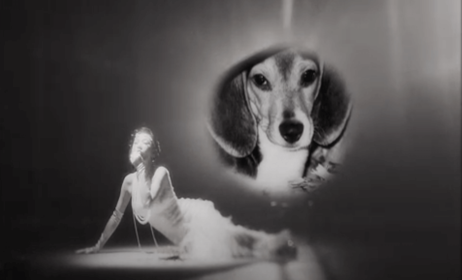 大S生前茹素「願為愛犬五妹娘祈願」 為求子打破13年原則 - Heho Pets