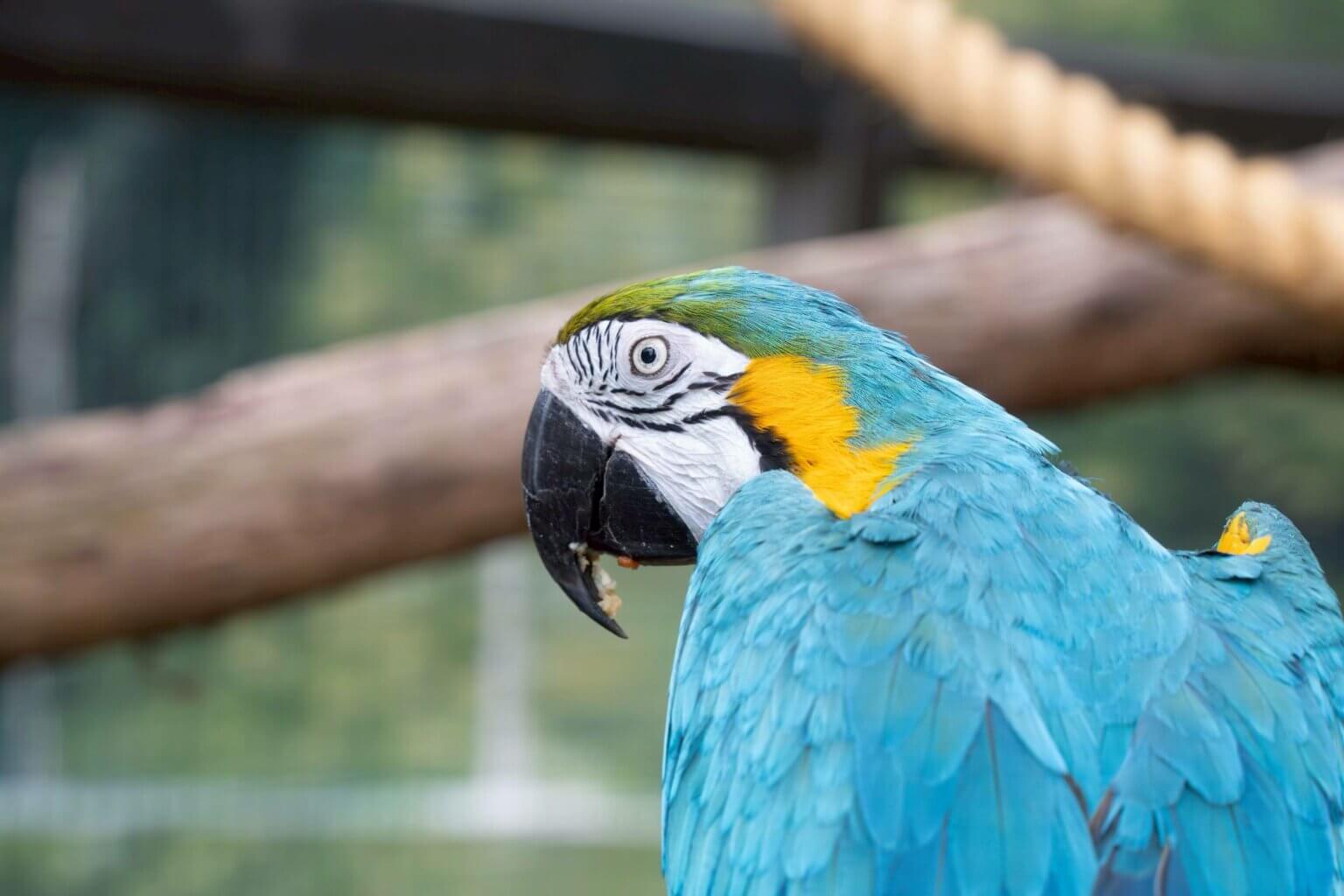 台北市立動物園宣布將休園10天！ 民眾把握機會這天前來遊園 - Heho Pets