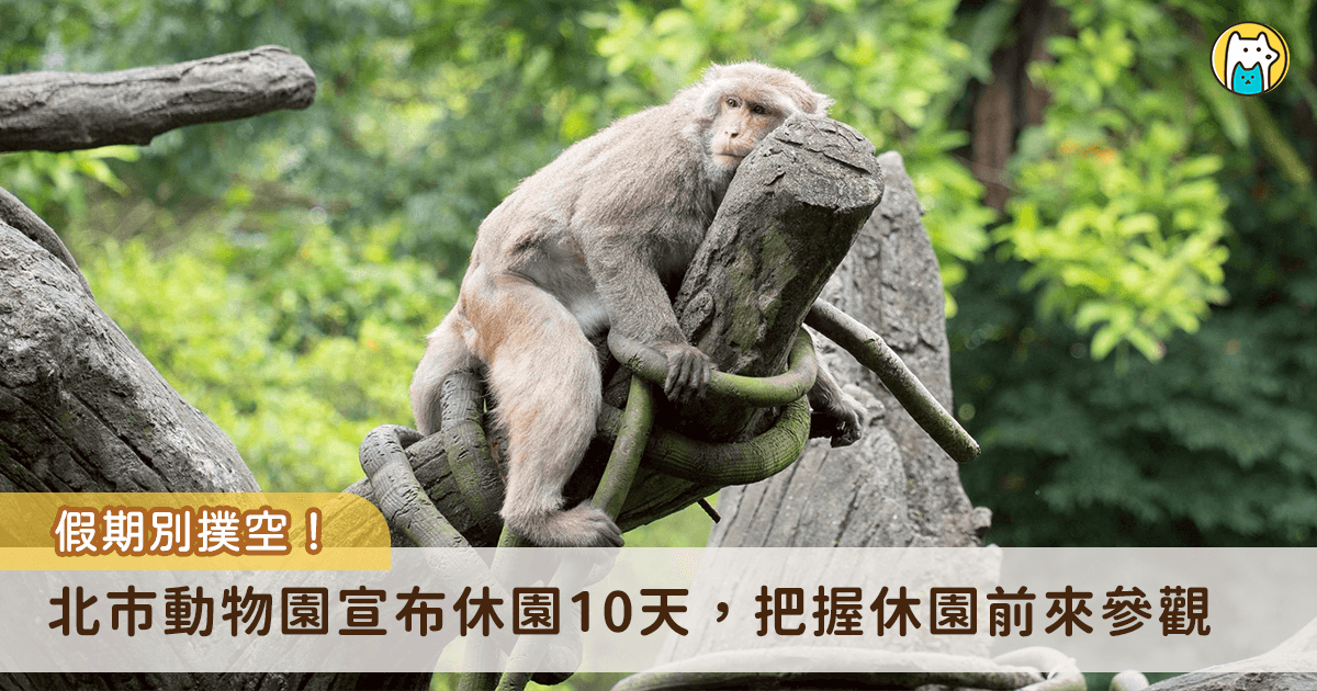 台北市立動物園宣布將休園10天！ 民眾把握機會這天前來遊園 - Heho Pets