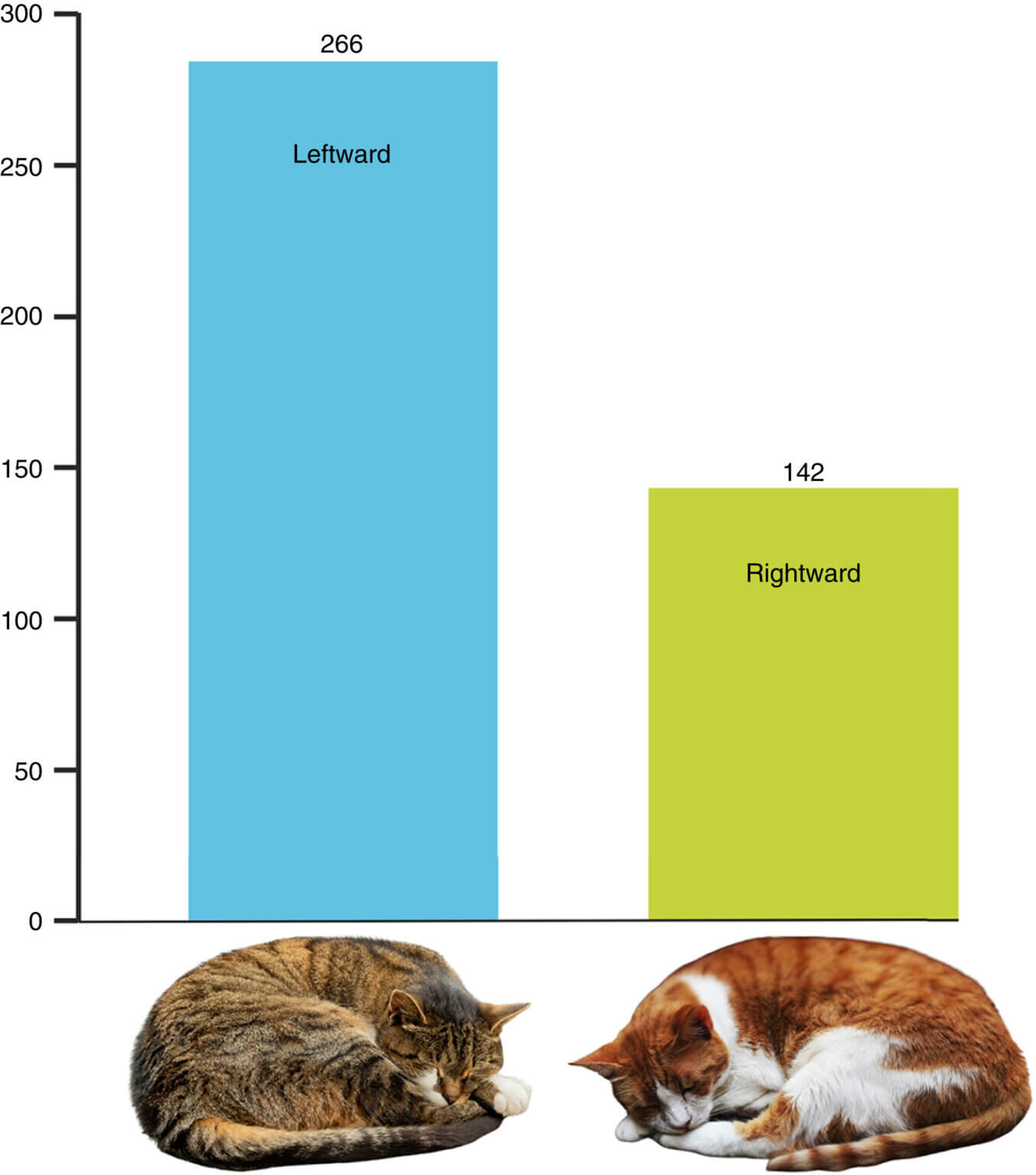 研究發現：2/3 的貓咪睡姿偏好「側睡左邊」! 原因跟防禦機制有關 - Heho Pets