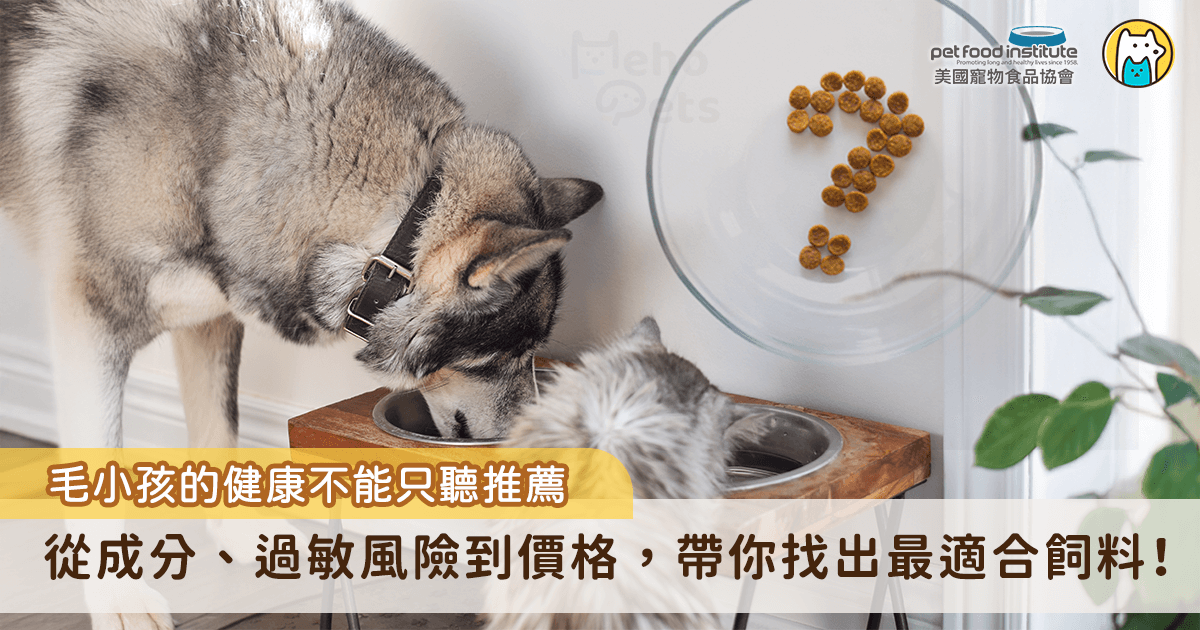 無穀和有穀飼料哪個好？該怎麼挑？ 4 項優劣勢分析告訴你 - Heho Pets