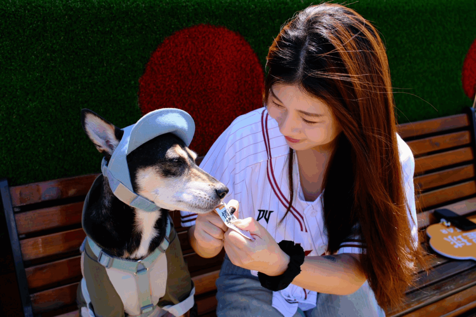 桃園「棒球場寵物樂園」登場！ 球迷與毛孩一起進場嗨比賽 - Heho Pets