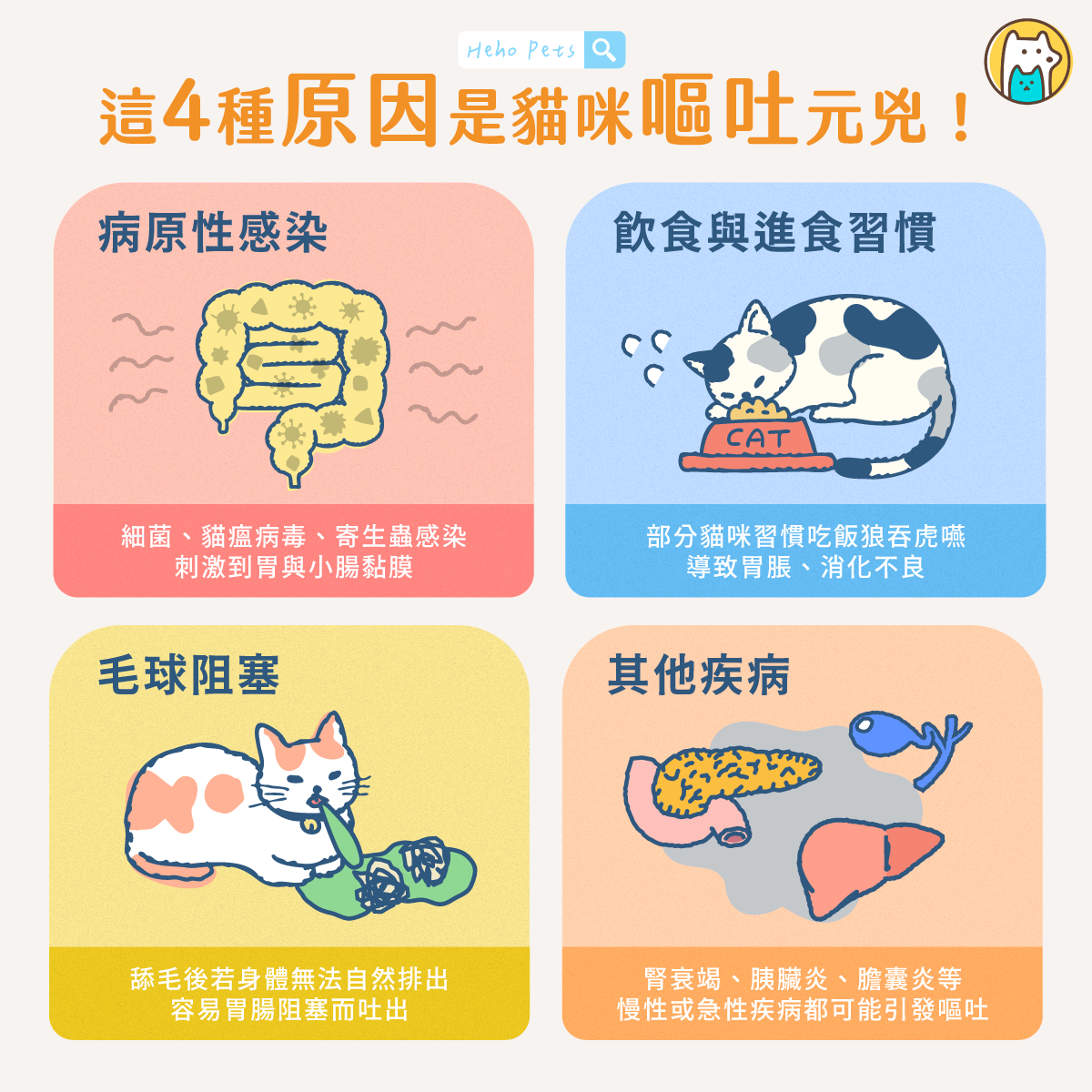 貓咪嘔吐原來有這些原因！資深獸醫教你從三大方面著手改善 - Heho Pets
